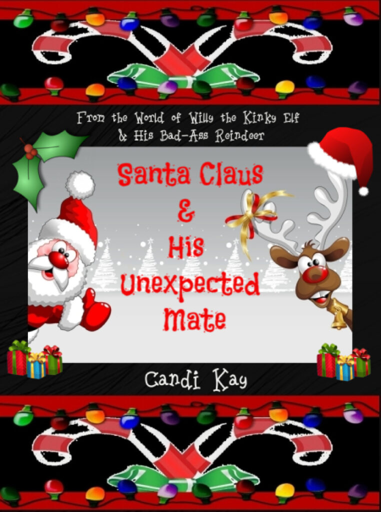 Pre-Order: Santa Claus & His Unexpected Mate (Willy the Kinky Elf & His ...